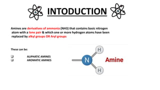 amine presentation organic chemistry.pptx