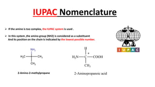 amine presentation organic chemistry.pptx