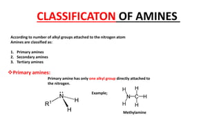 amine presentation organic chemistry.pptx