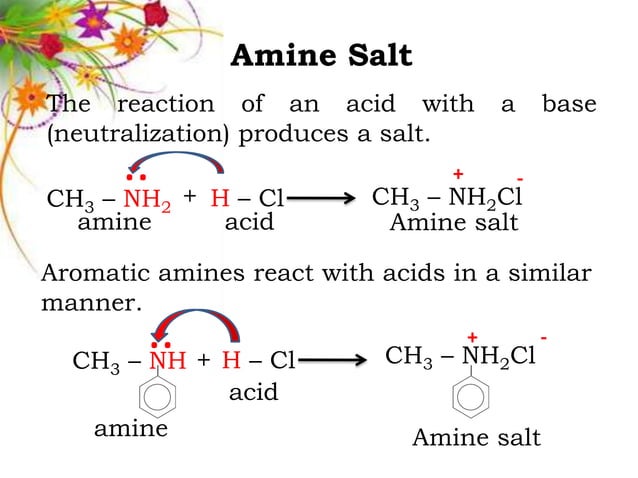 Amines | PPTX | Chemistry | Science