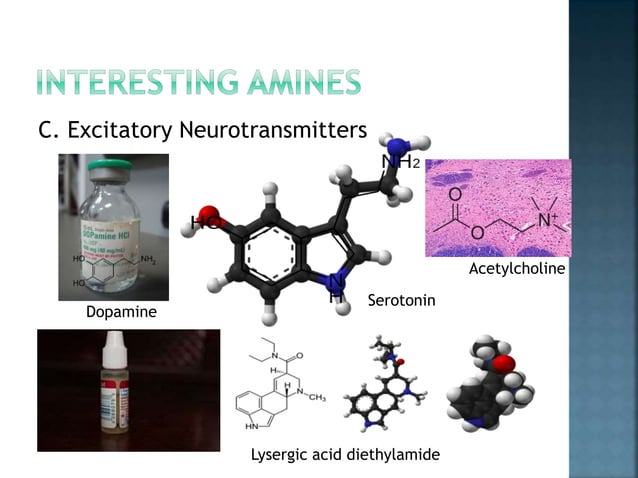 Amines | PPT | Free Download