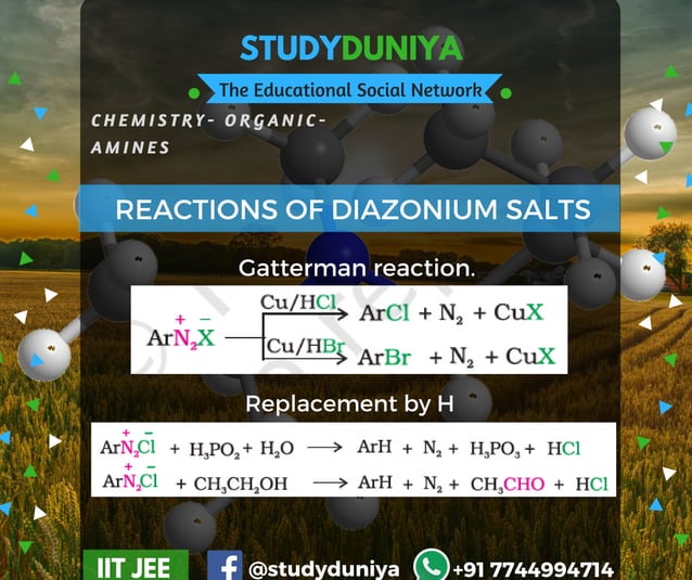 Amines & Diazonium Salts | PDF