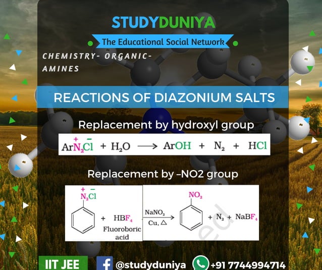 Amines & Diazonium Salts | PDF