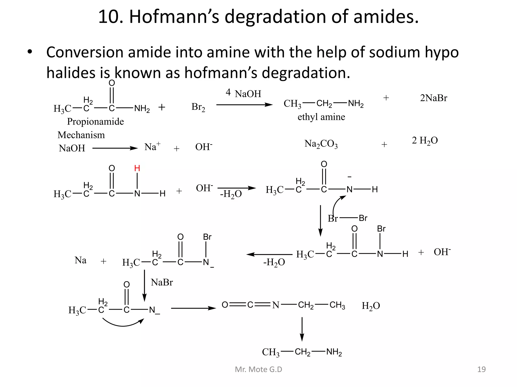 Amines | PPTX