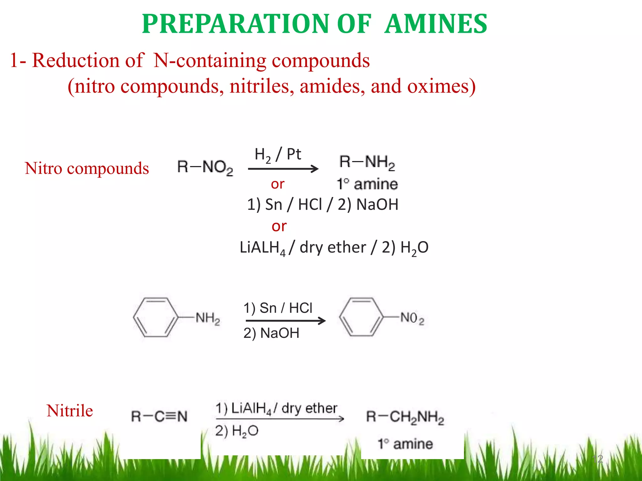 Amines | PPTX
