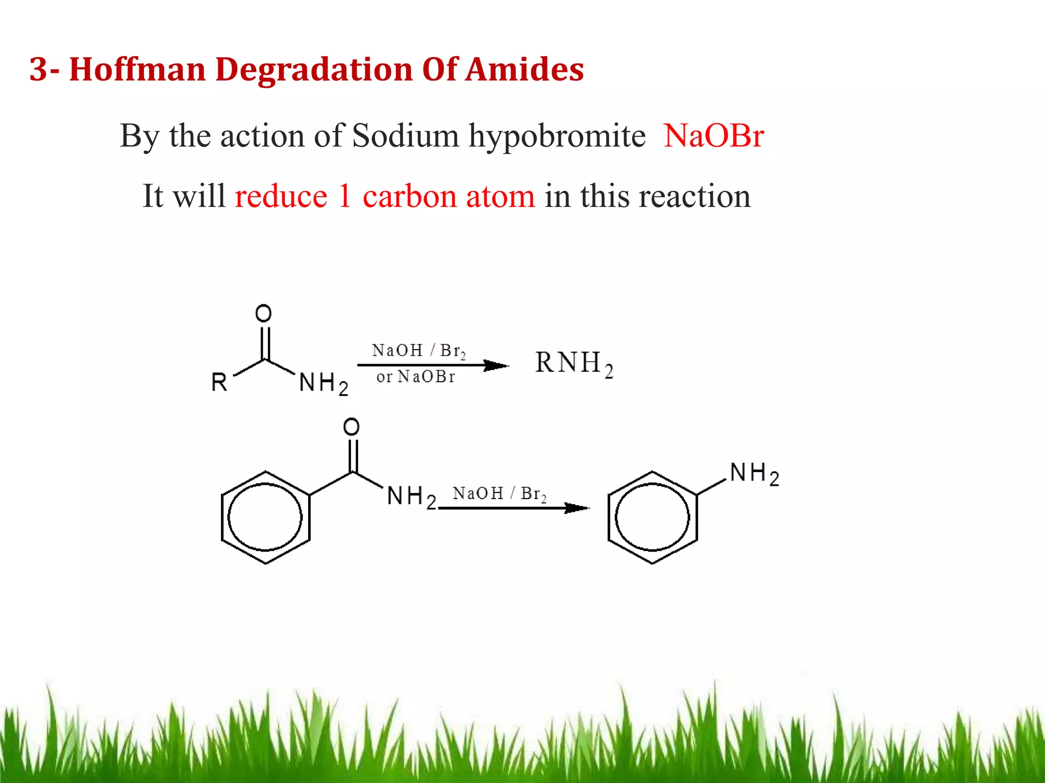 Amines | PPTX