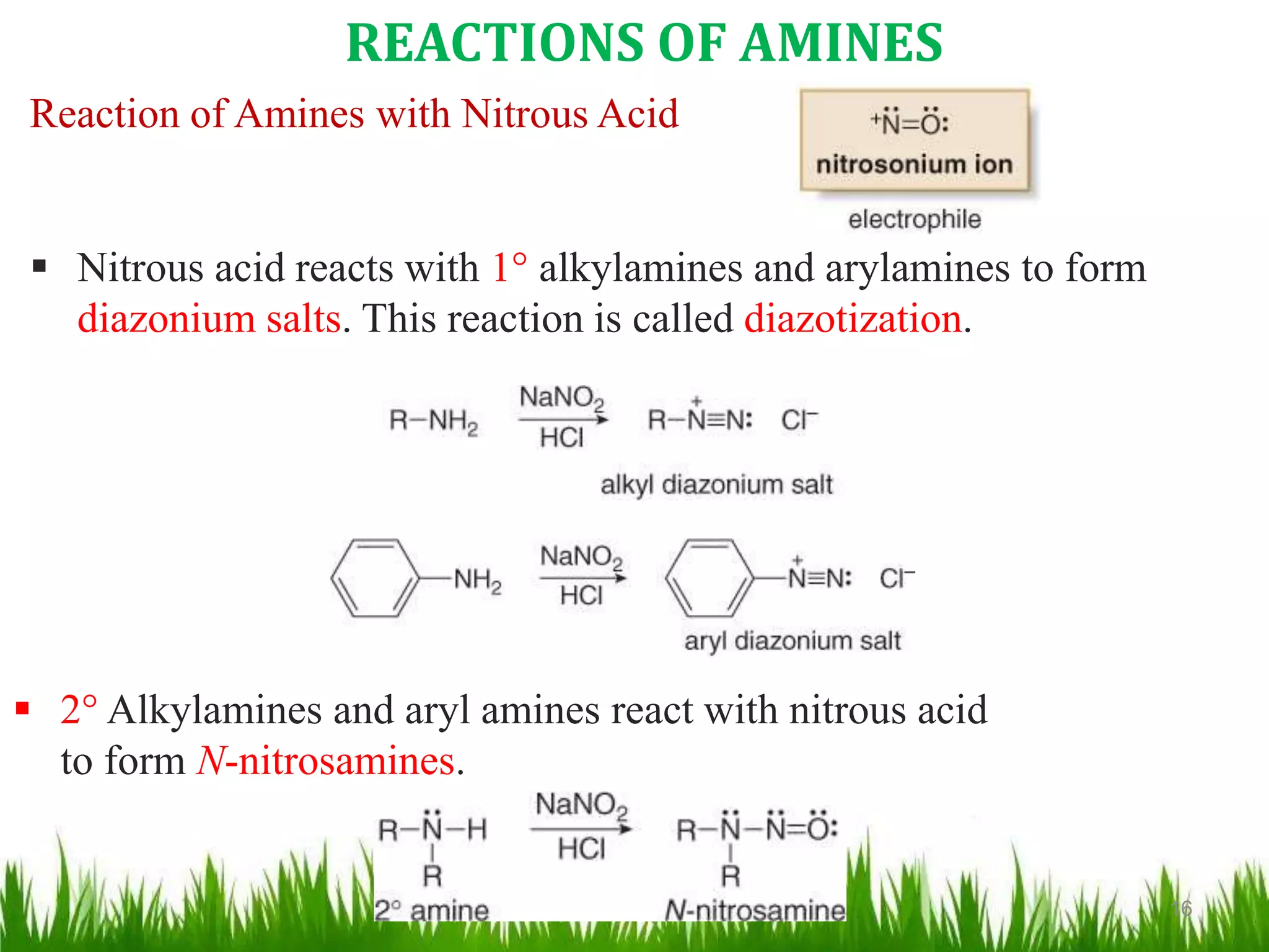 Amines | PPTX