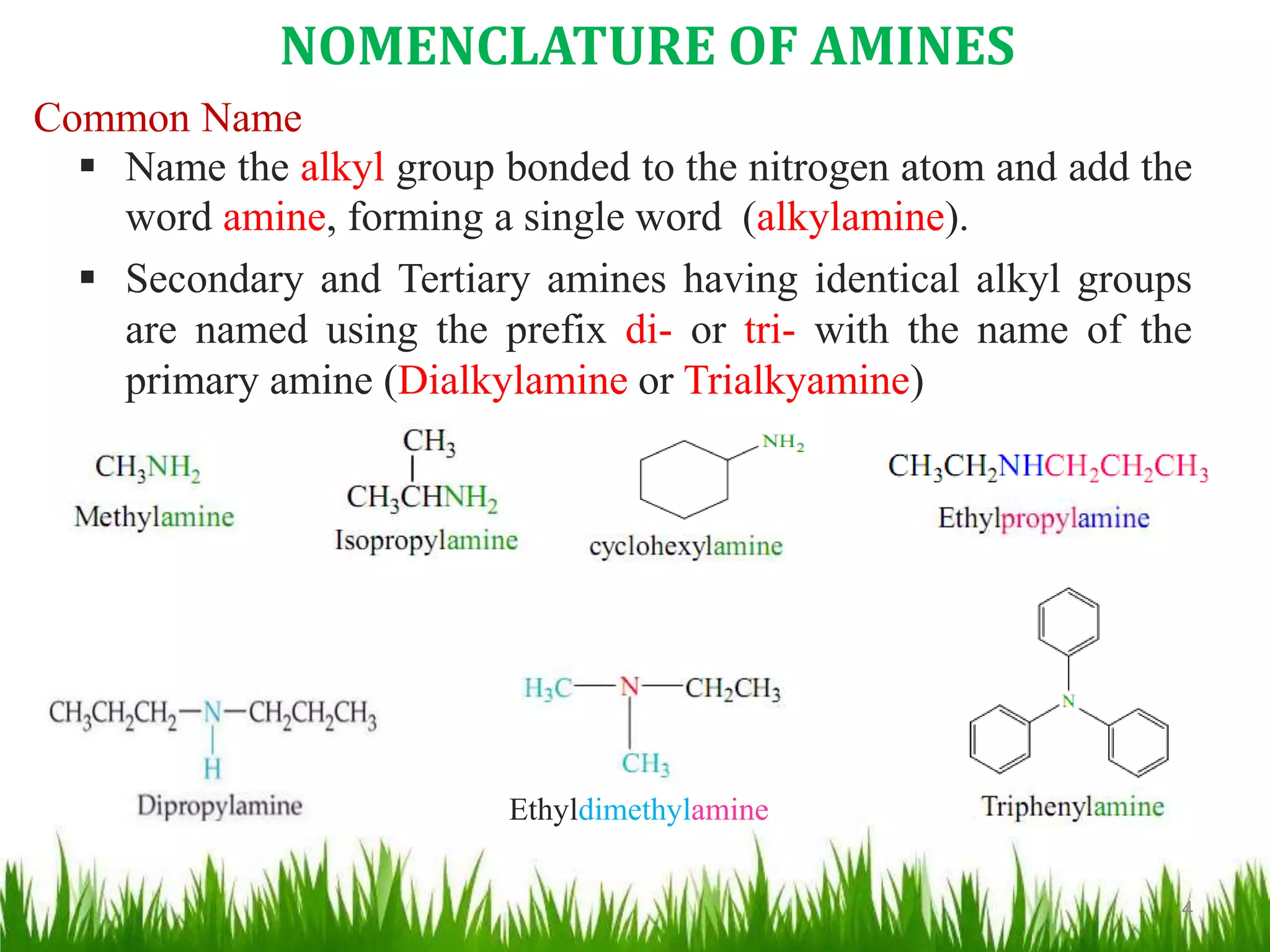 Amines | PPTX