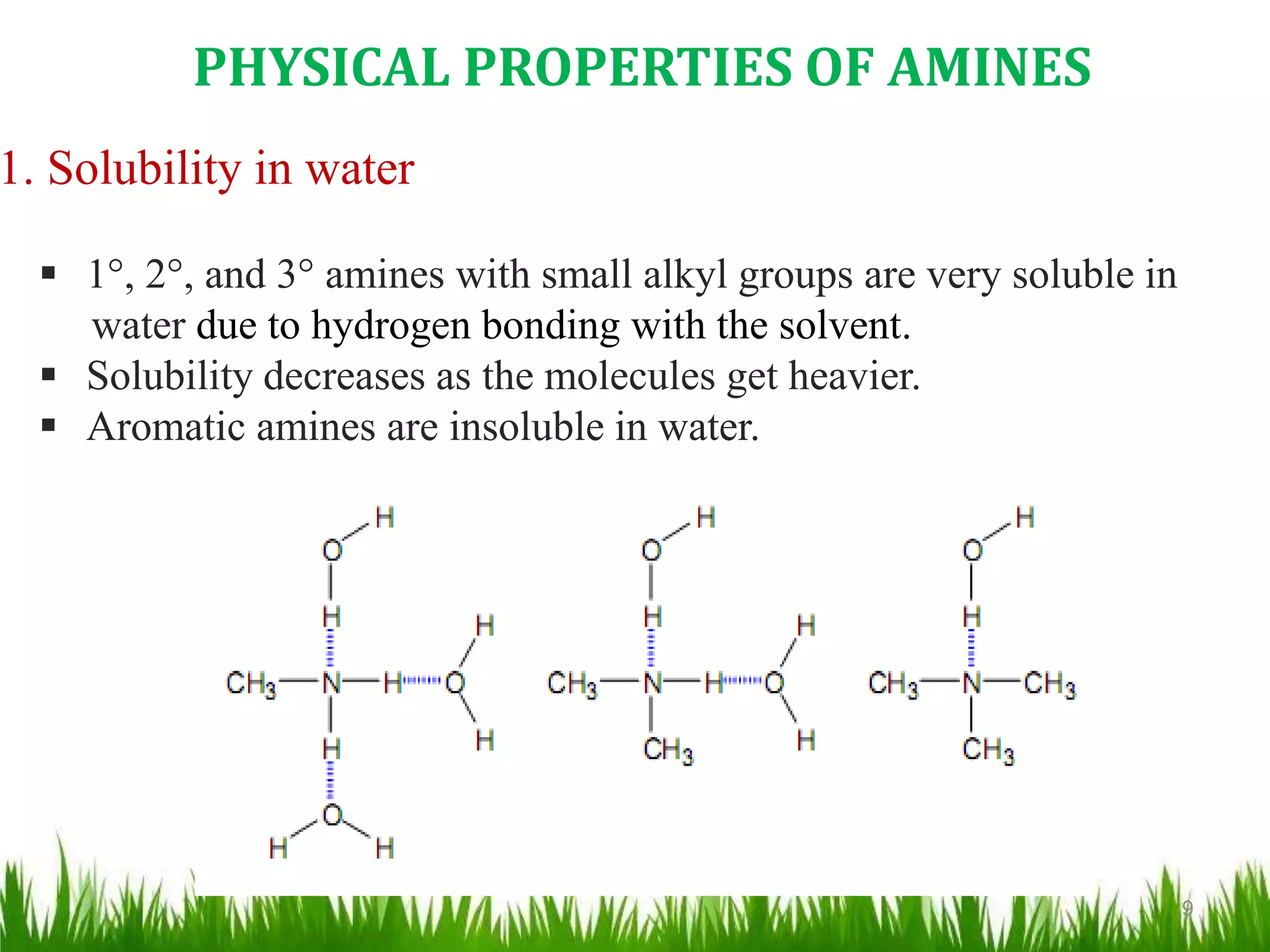 Amines | PPTX