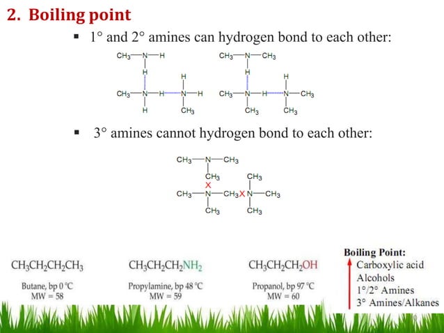 Amines | PPTX | Chemistry | Science