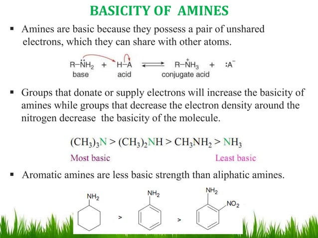 Amines | PPTX | Chemistry | Science