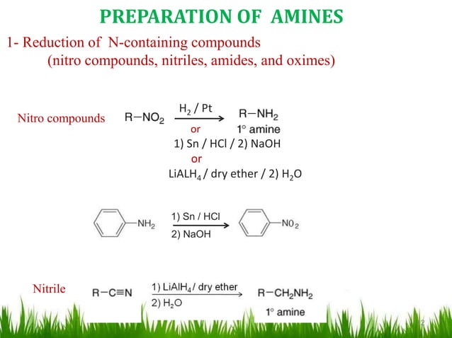 Amines | PPTX | Chemistry | Science