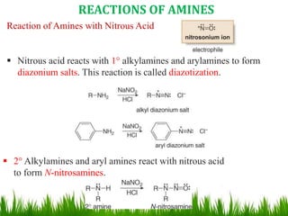 Amines | PPTX