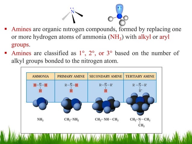 Amines | PPTX | Chemistry | Science