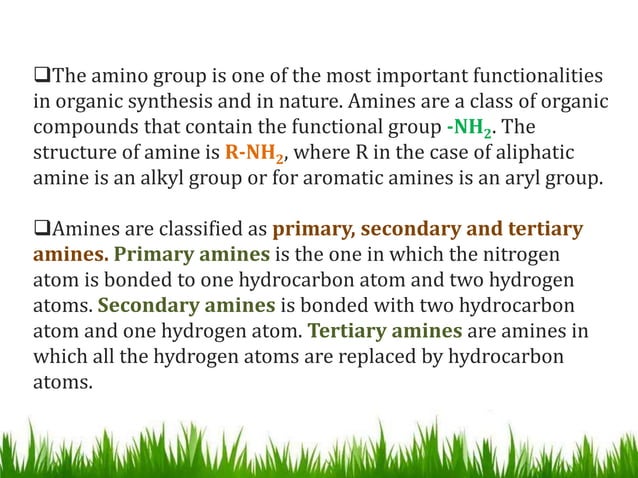 Amines | PPTX | Chemistry | Science
