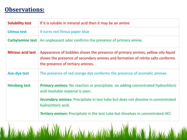 Amines | PPTX | Chemistry | Science