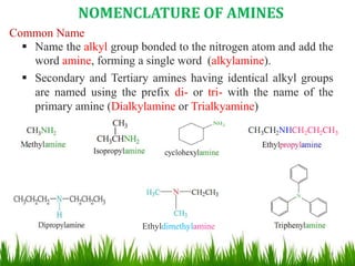 Amines | PPTX