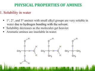 Amines | PPTX
