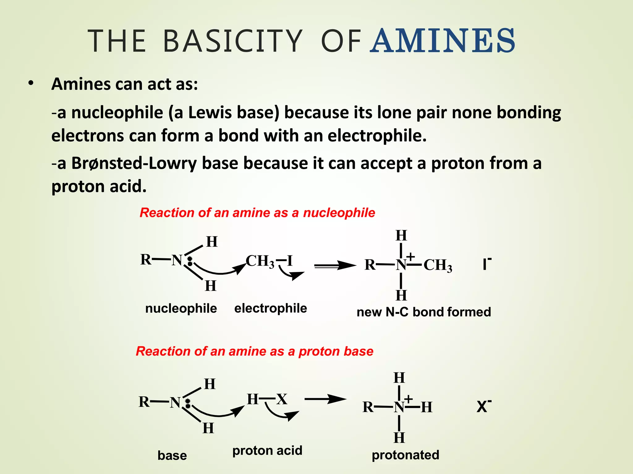 Amines | PPTX