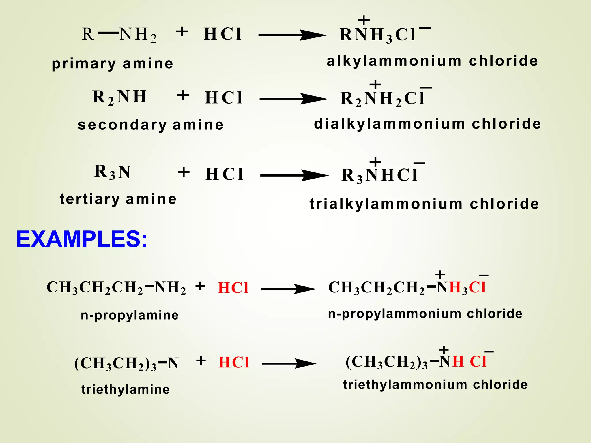 Amines | PPT