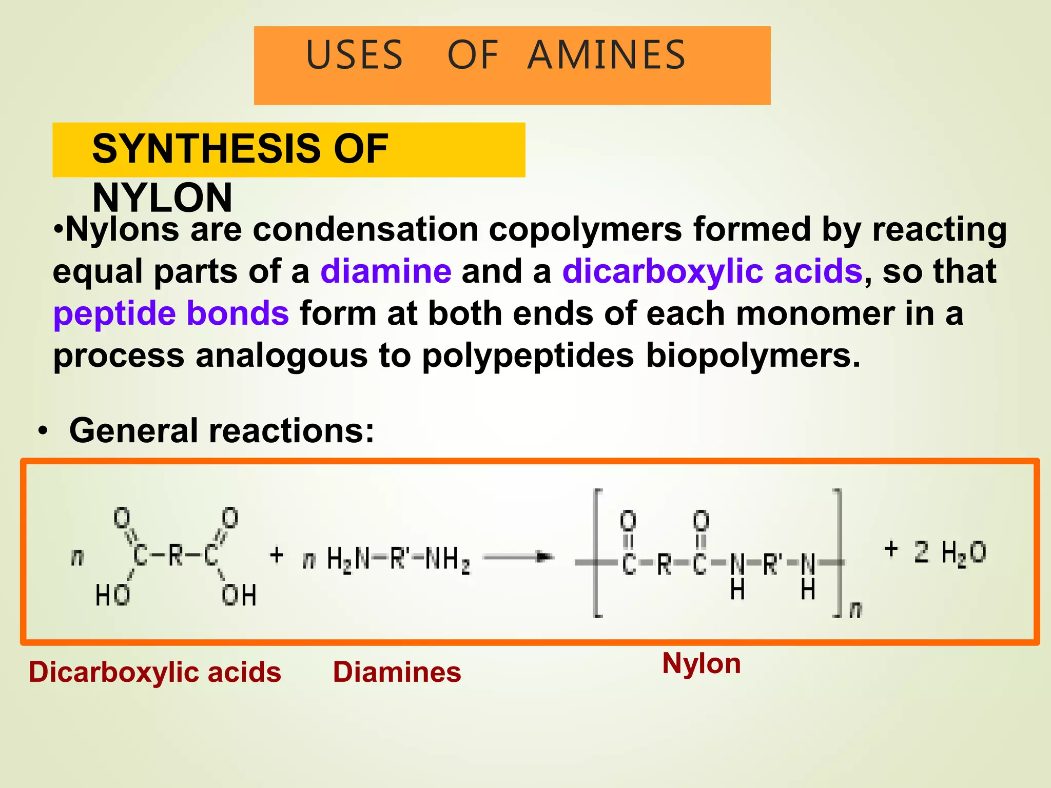 Amines | PPTX