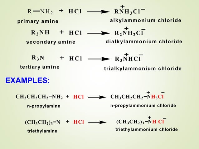 Amines | PPTX | Chemistry | Science
