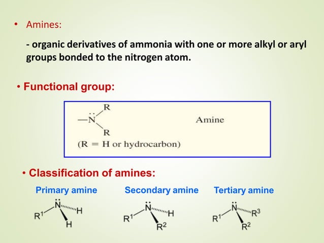 Amines | PPTX | Chemistry | Science