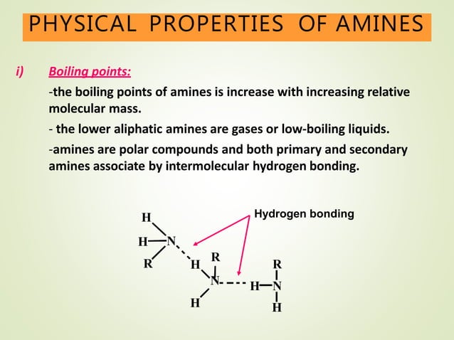Amines | PPTX | Chemistry | Science