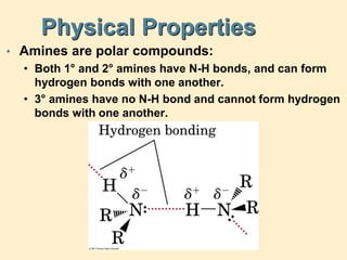Amines.pptx