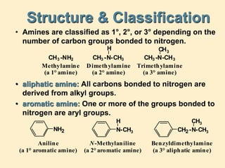 Amines.pptx