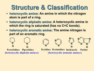 Amines.pptx