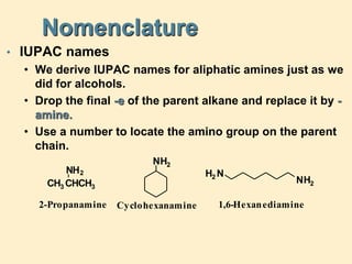 Amines.pptx
