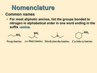 Amines.pptx