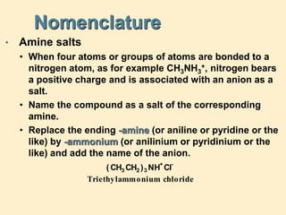 Amines.pptx