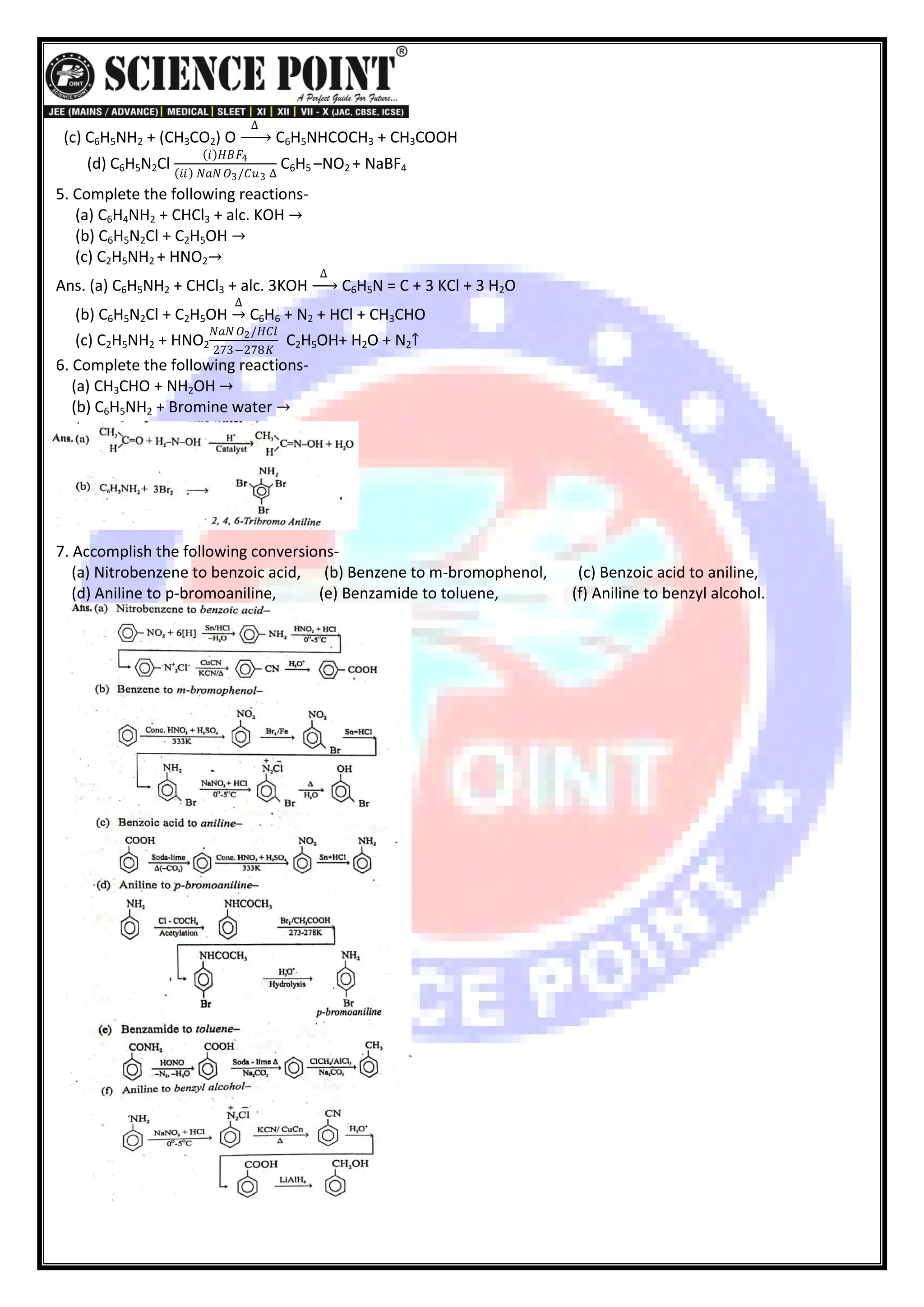 AMINES.pdf Questions for class 12th students | PDF