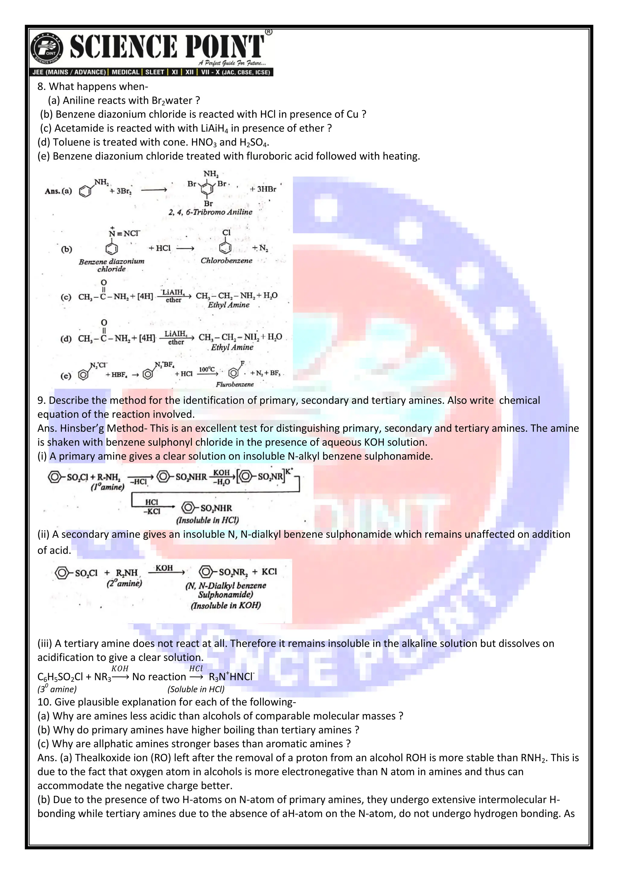AMINES.pdf Questions for class 12th students | PDF