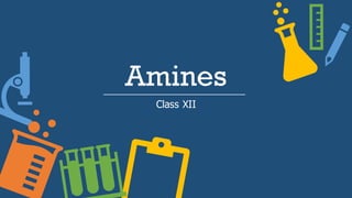 amines.pdf class xii Ncert CBSE aromatic and aliphatic amines | PDF