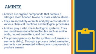 amines.pdf class xii Ncert CBSE aromatic and aliphatic amines | PDF