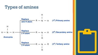 amines.pdf class xii Ncert CBSE aromatic and aliphatic amines | PDF