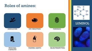 amines.pdf class xii Ncert CBSE aromatic and aliphatic amines | PDF