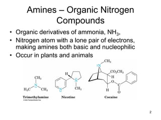 Amines: Structure, Classification, Properties, and Uses | PDF