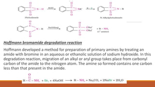 amines-class-12-CHEMISTRY-ppt-cbse.pptx