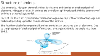 amines-class-12-CHEMISTRY-ppt-cbse.pptx