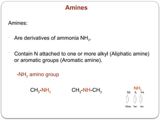 Amines Presentation second year b pharmptx | PPT
