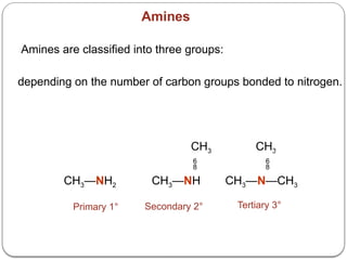 Amines Presentation second year b pharmptx | PPT