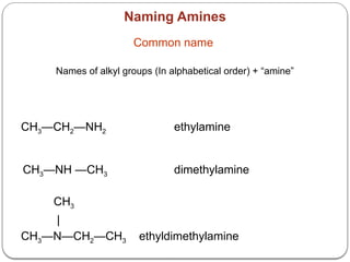 Amines Presentation second year b pharmptx | PPT