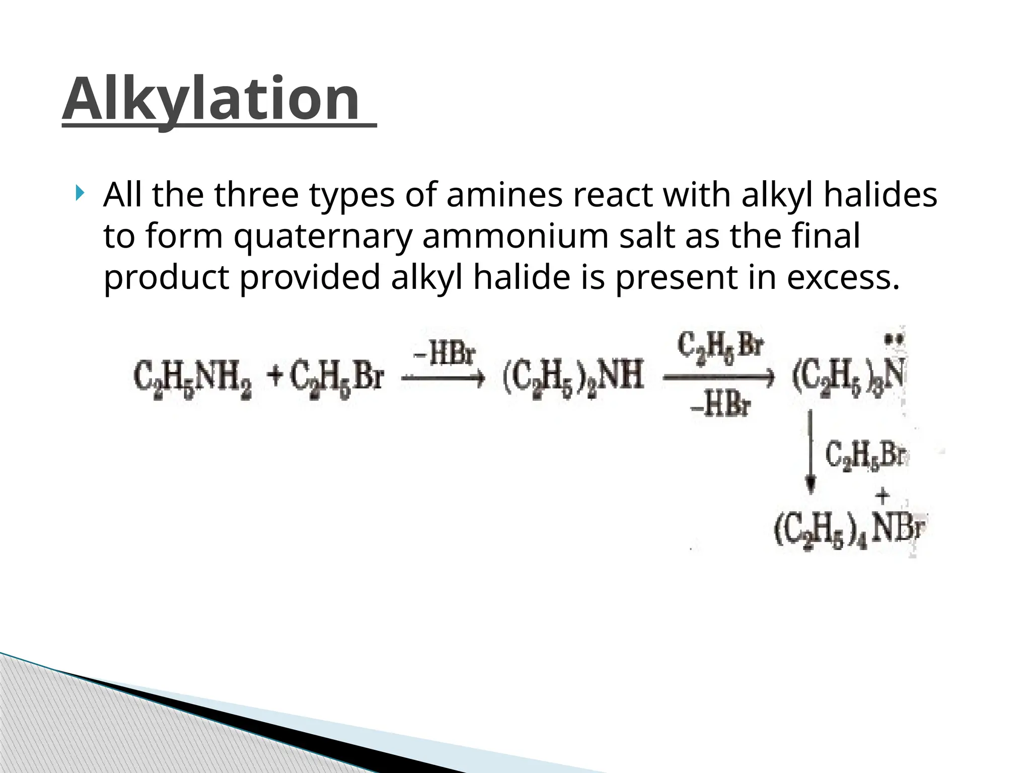 AMINES-xii.pptx class 12 CBSE Ncert organic | PPTX