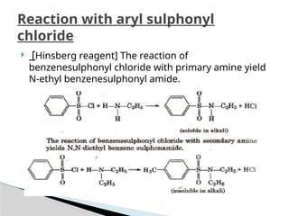 AMINES-xii.pptx class 12 CBSE Ncert organic | PPTX