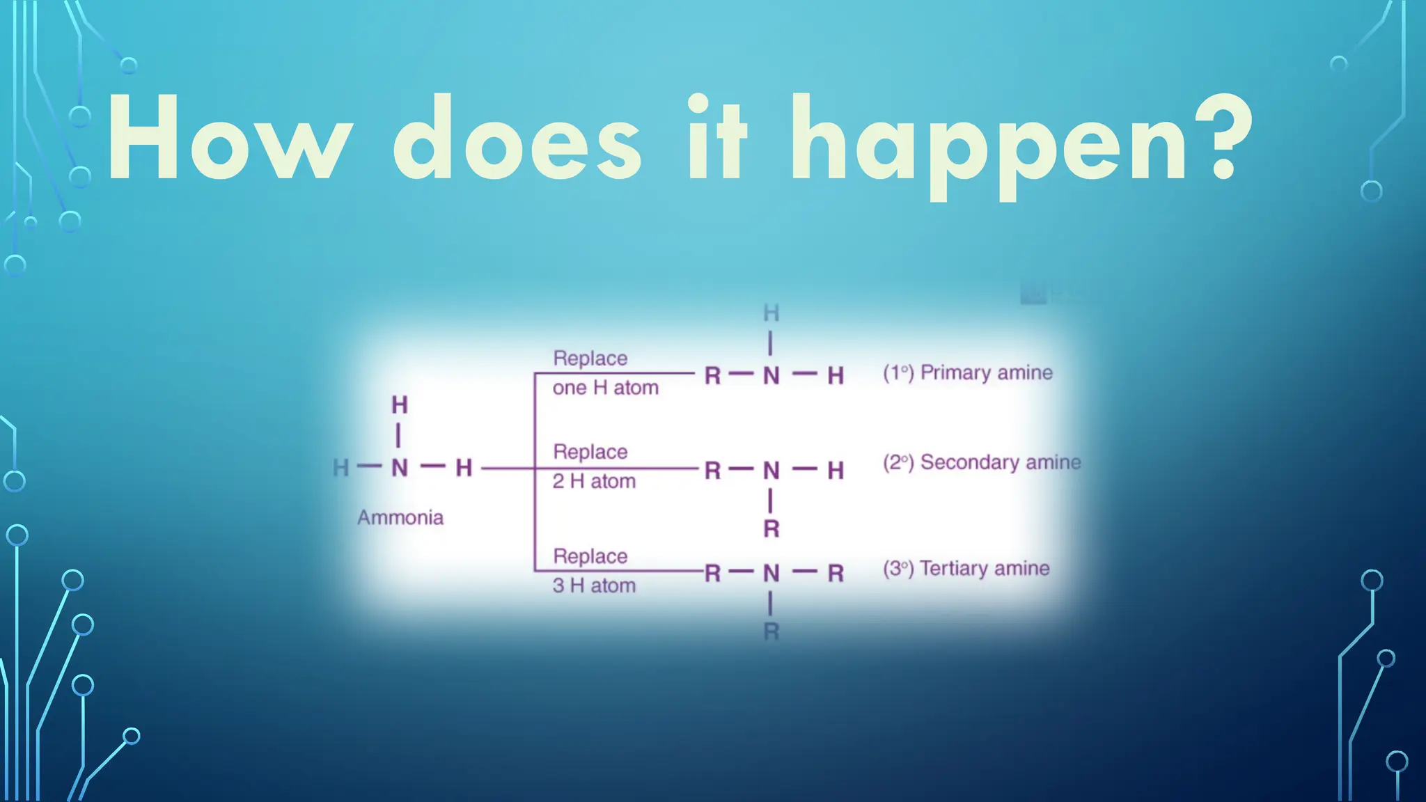 AMINES IUPAC and Functional Groupss.pptx.pptx