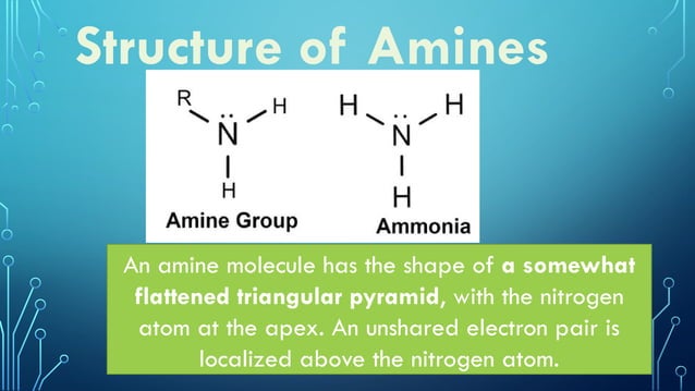 AMINES IUPAC and Functional Groupss.pptx.pptx